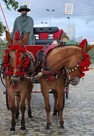 Sevilla, Spanje, Europa