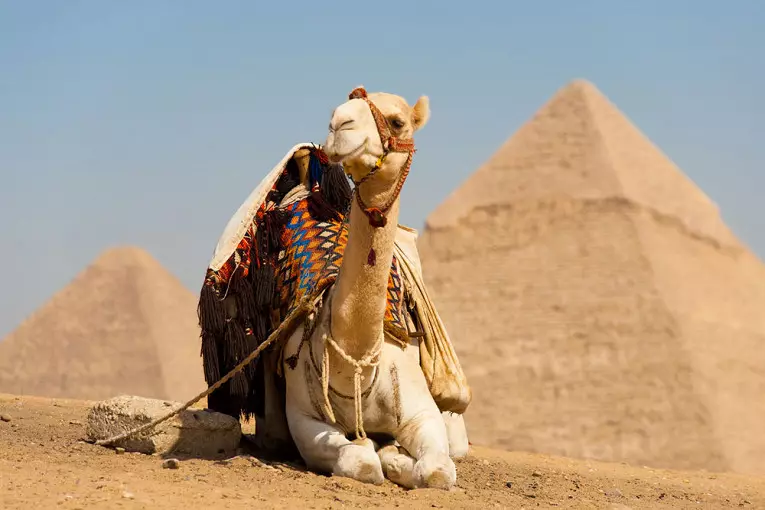 Կահիրե, Եգիպտոս, Աֆրիկա
