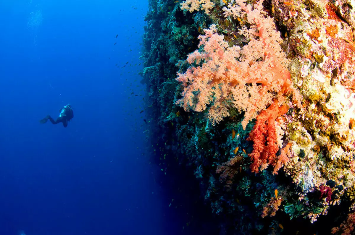 Sharm El-Sheikh, an Éigipt, an Afraic