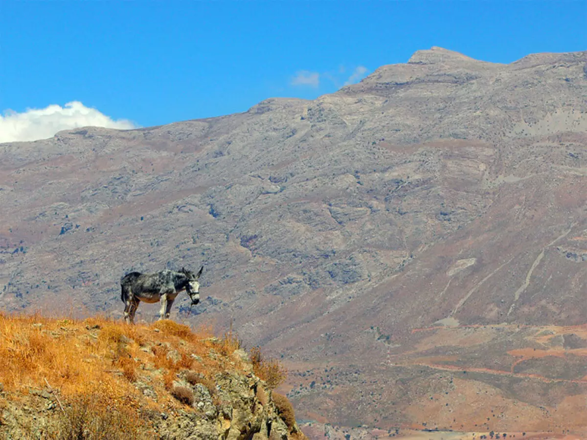 Bay Agios Pavlos, Rethymnon, Crete, Yewnanîstan, Ewropa