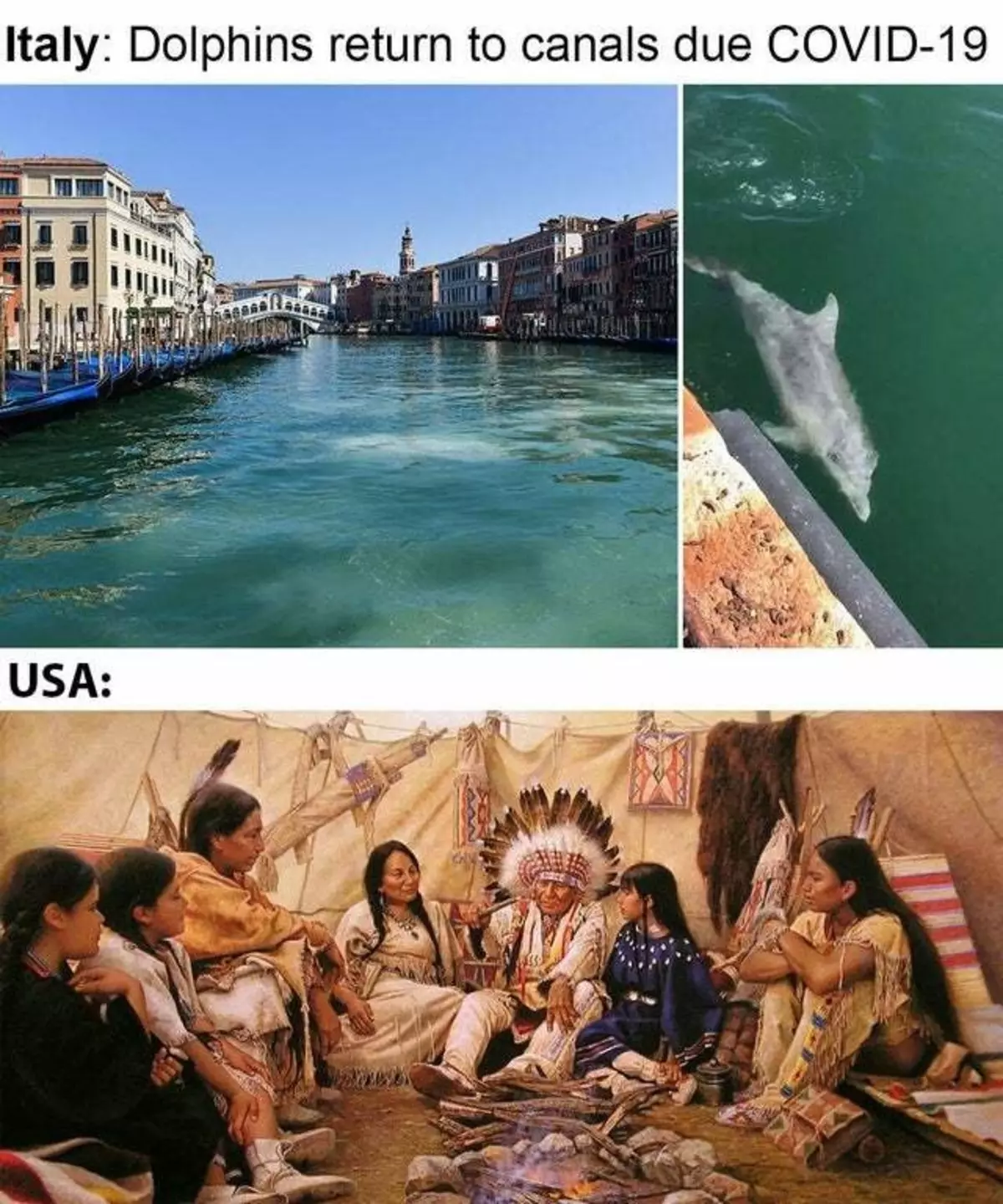 "Itàlia: els dofins es tornen als canals durant l'epidèmia Covid-19. Mentrestant, als EUA: ... ".