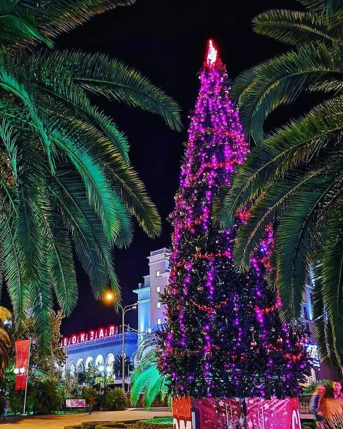 Funkelnder Weihnachtsbaum auf dem Hintergrund von üppigen Palmen sieht besonders aus!