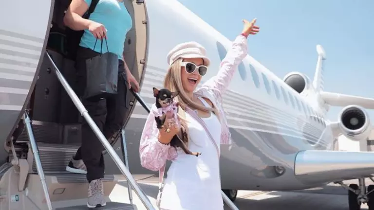 Paris Hilton semble avoir présenté la mode sur les petits chiens et les a faits synonymes de luxe. Diamond Baby se repose toujours avec sa maîtresse.