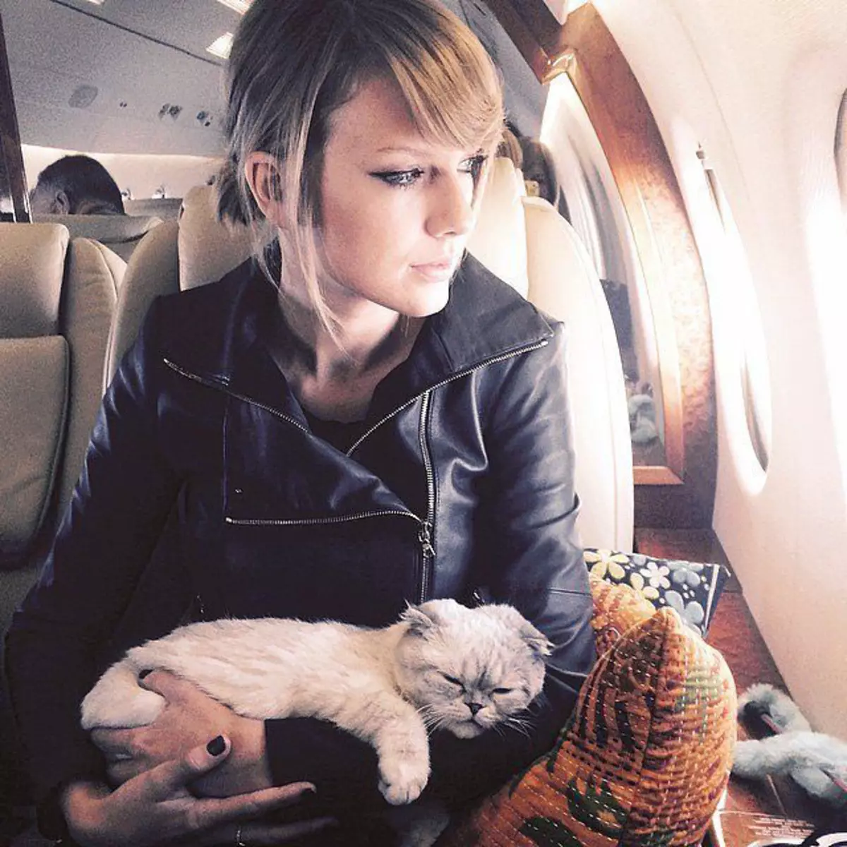 Superputopular American Spevák Taylor Swift verí, že jeho mačka Meredith sivá najlepší spoločník na dlhé cestovanie.