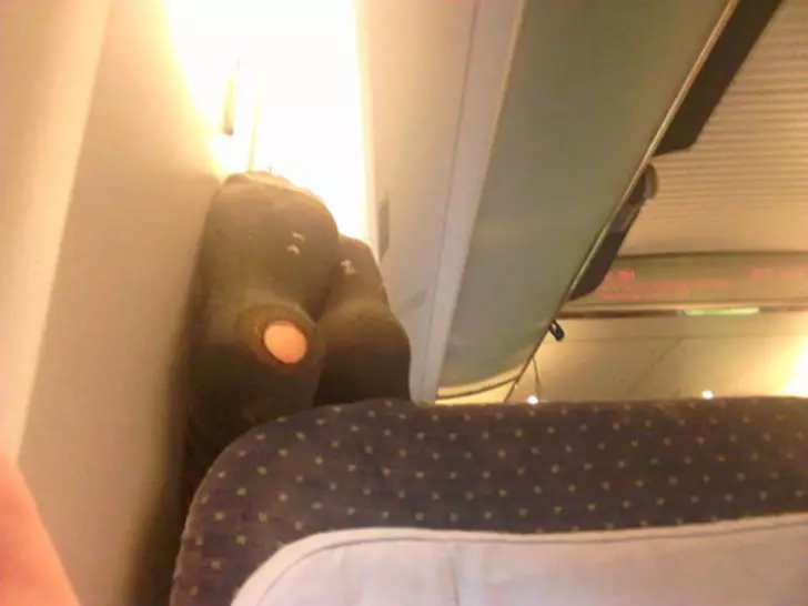 ہوائی جہاز میں سب سے زیادہ خوفناک مسافر، جو آپ تصور کر سکتے ہیں 180_21