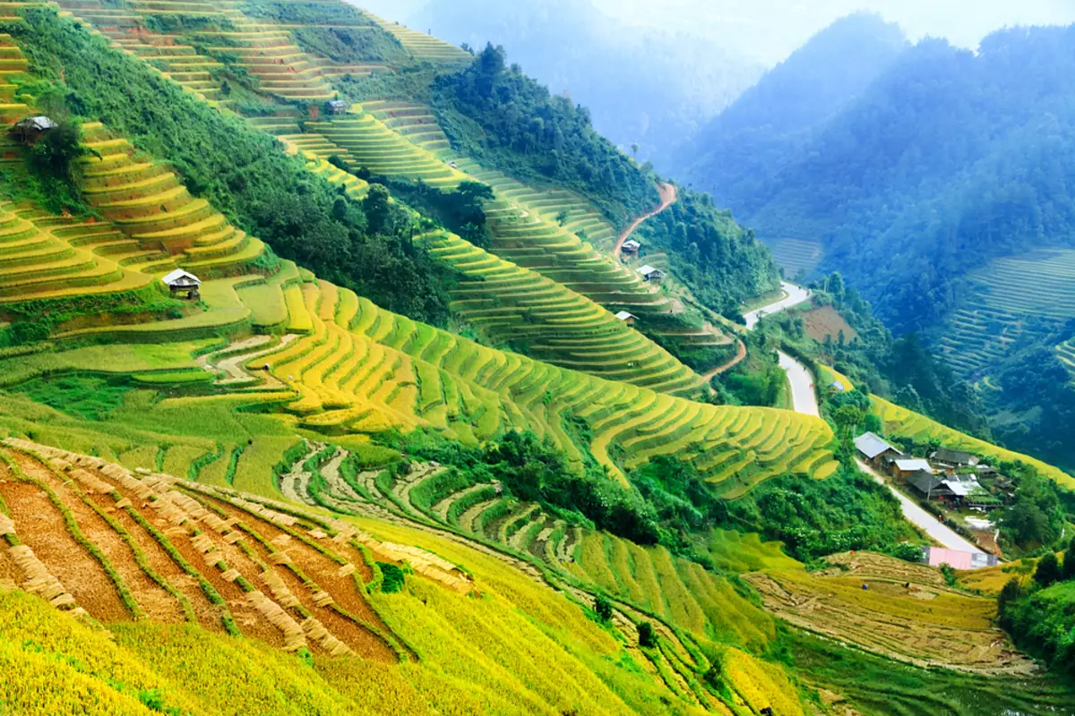 Ryžové terasy (Čína, provincia Yunnan)