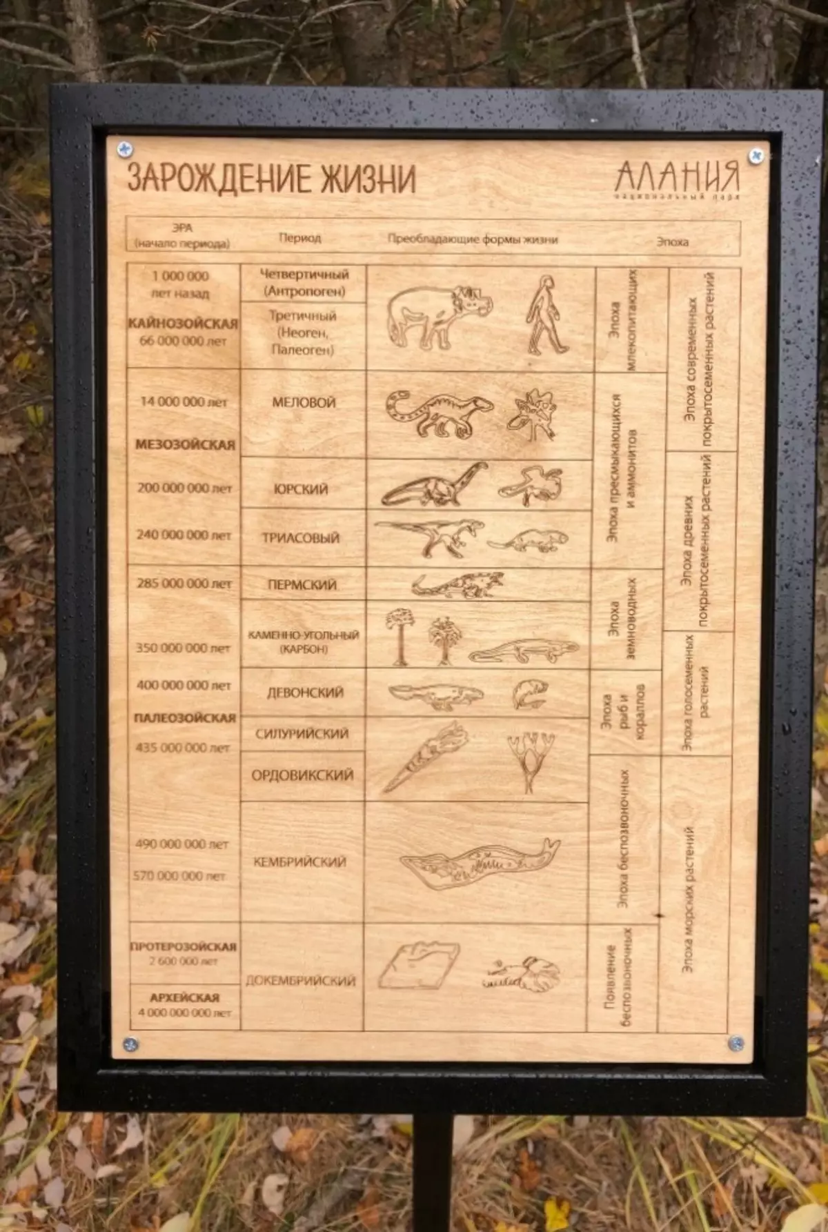 Алания улуттук паркындагы биринчи экскотропкаларды ачуу 210_11
