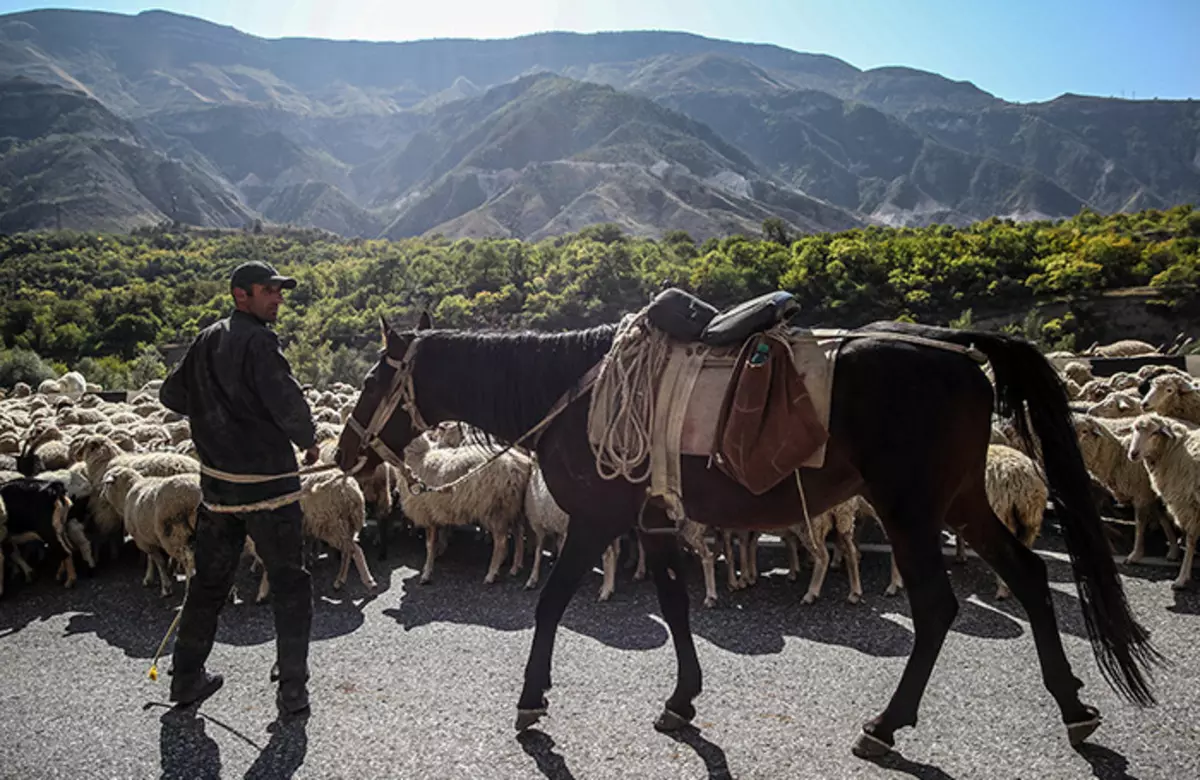 Ci sono già folle di turisti russi in Abkhazia. Ma a Daghestan e nelle città dell'anello d'oro relativamente calmo