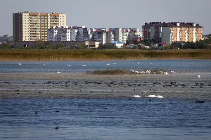 Rusi se je množično želel sprostiti na isti plaži domači letovišče