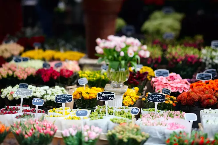 5 iemesli, lai dotos uz Amsterdamu