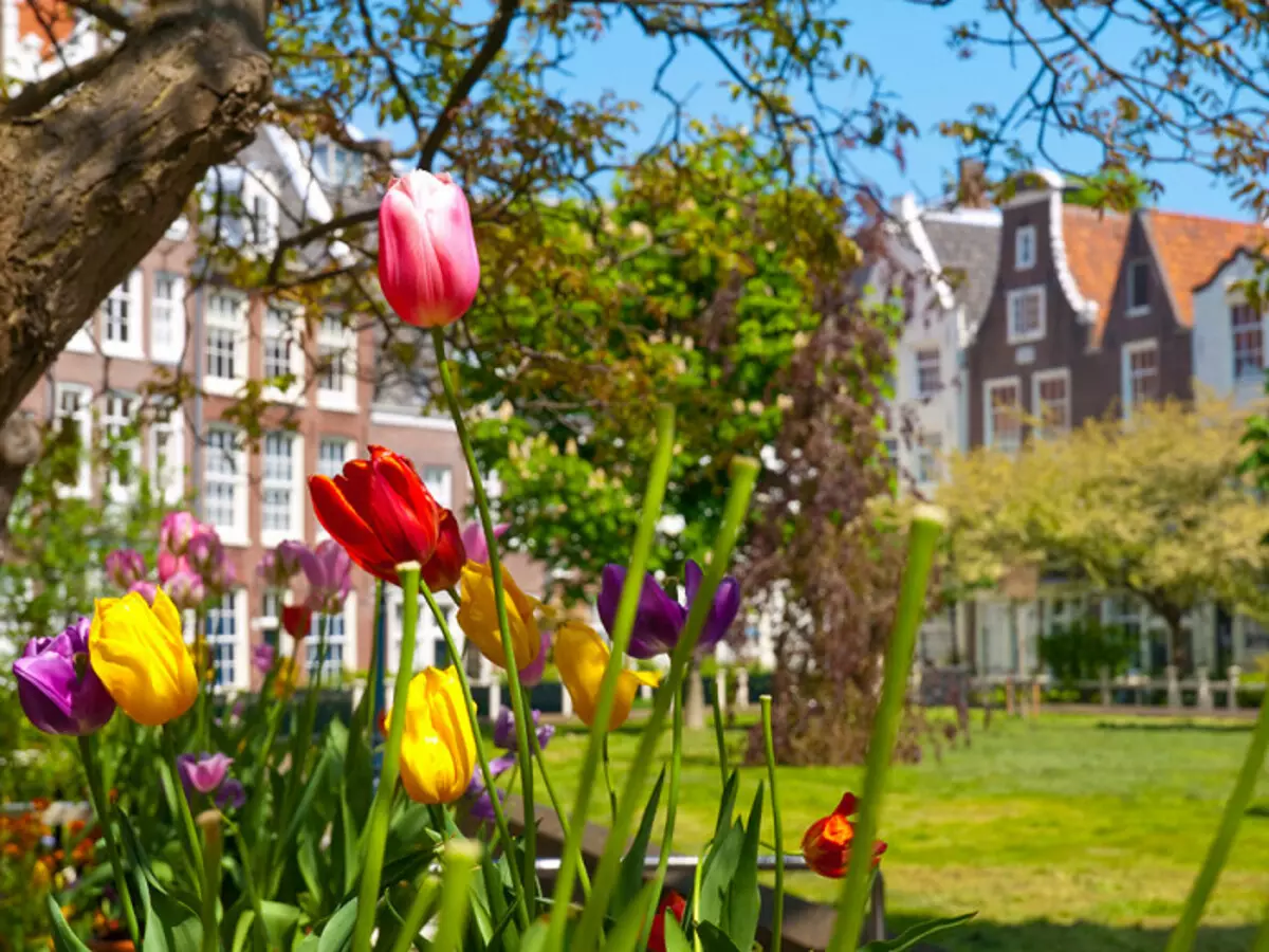 Amsterdam, Holland, Europa