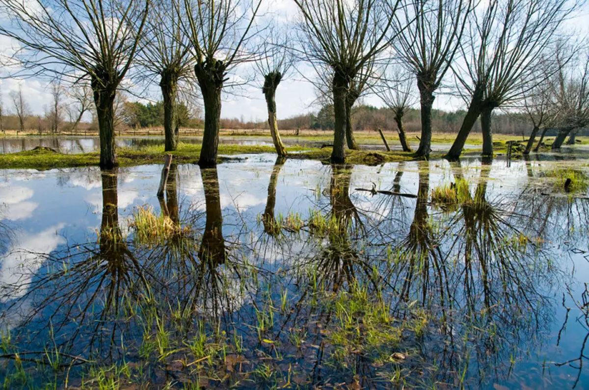 Varšava, Poľsko, Európa