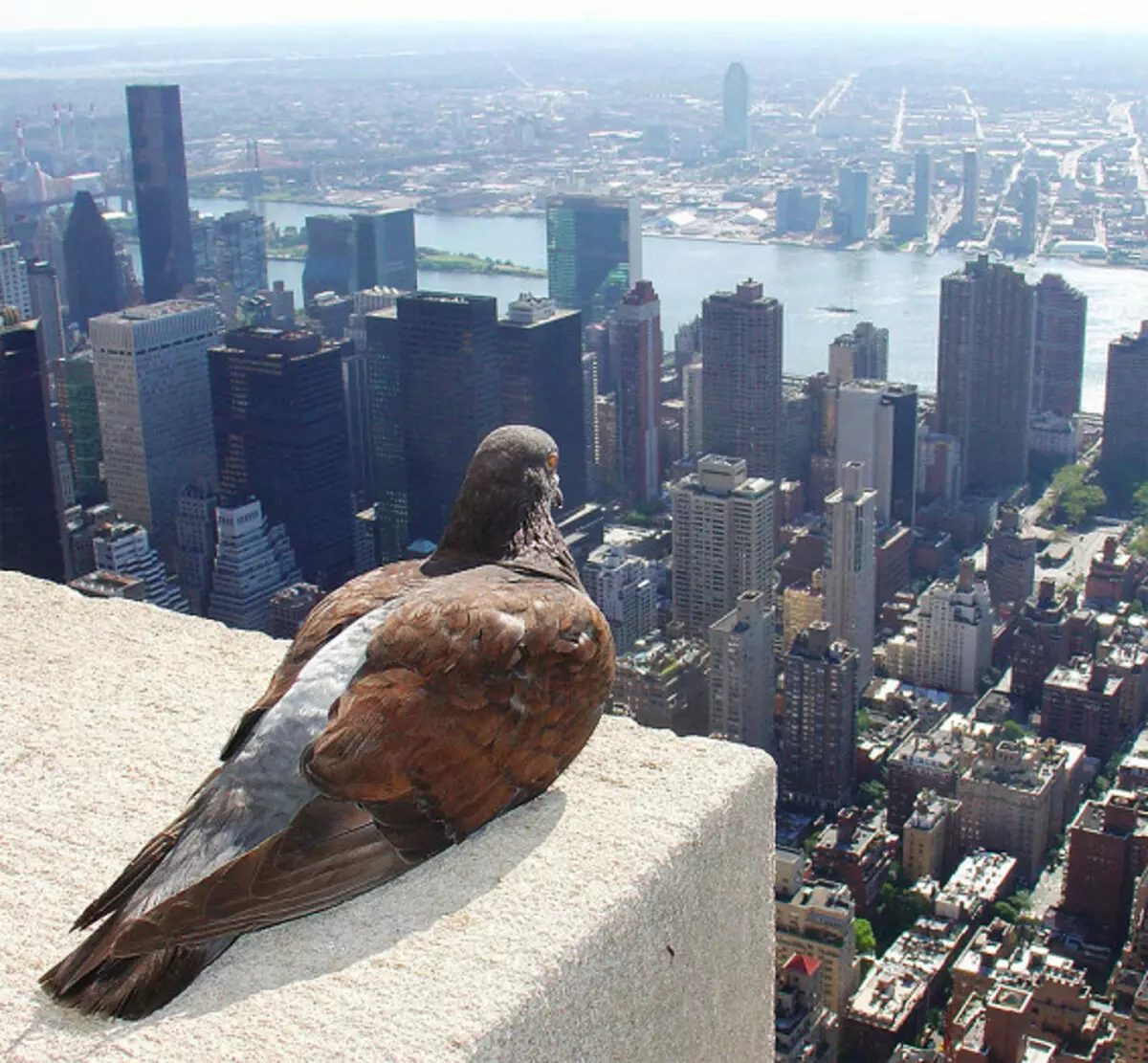 Nova York, EUA, América do Norte