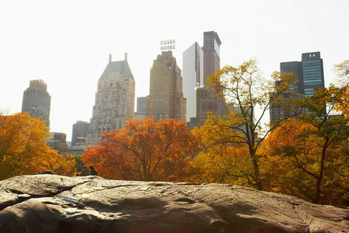 Central Park, New York, USA, North America