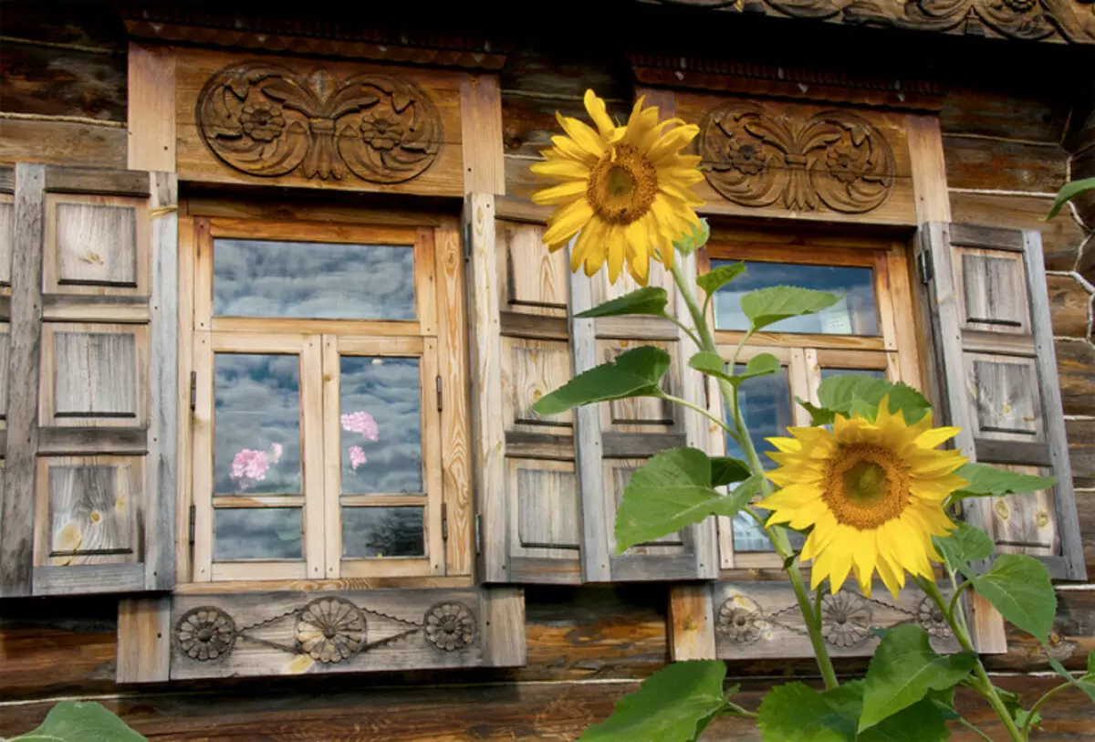 Muzeum Architektury Drewnianej i Chłopia, Suzdal, Rosja, Europa