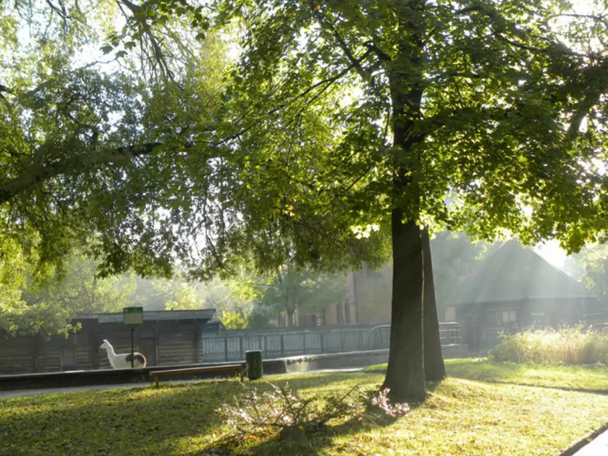 Kaliningrad Zoo, Kaliningrad, Rusko, Európa