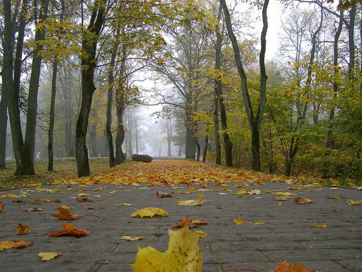 Jurmala, Letland, Europa