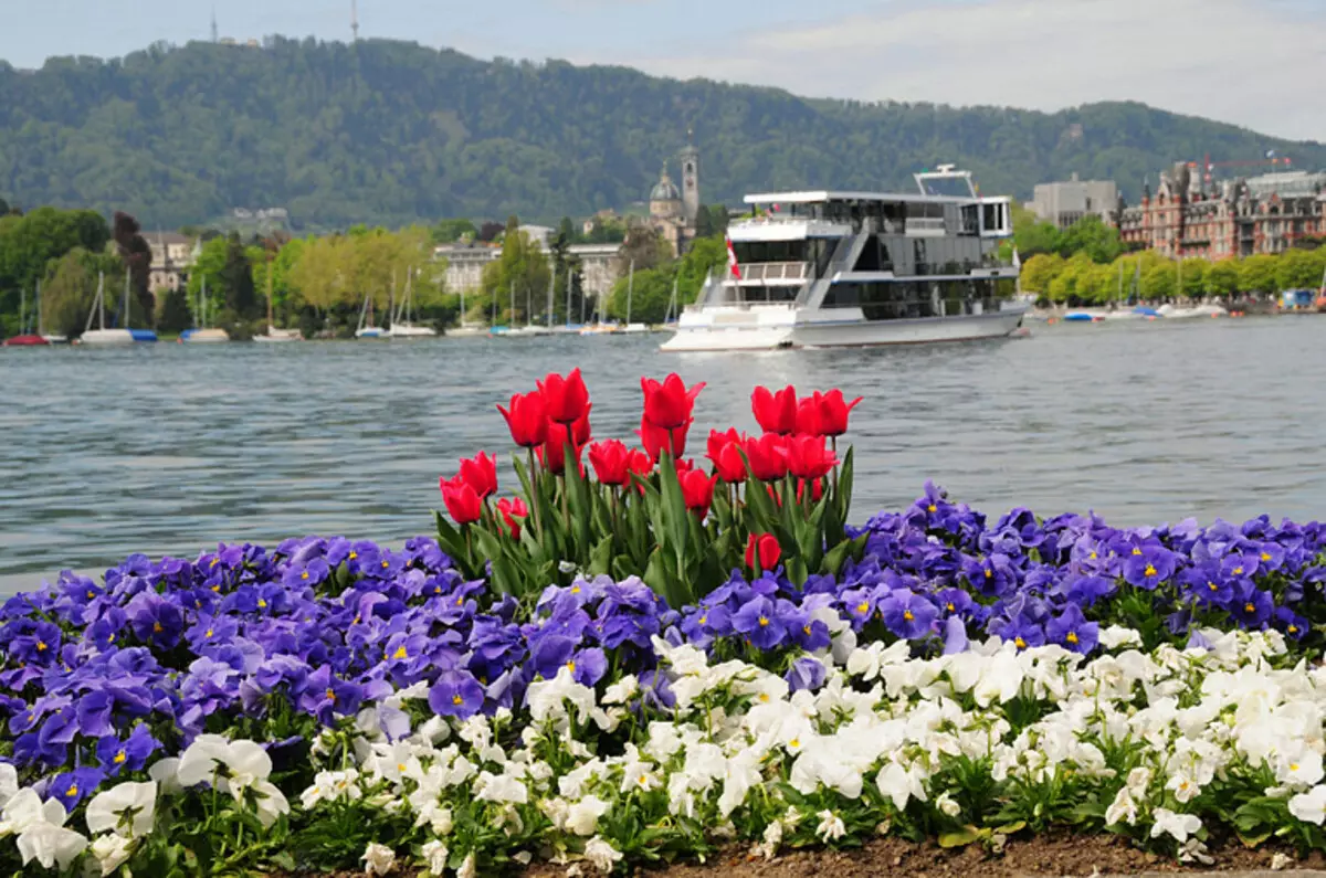 Lake Zurich, Zurich, Swiss, Eropa