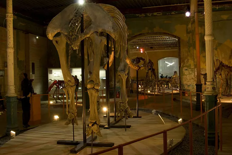 Paleontological Museum, Perm, Russia, Europe