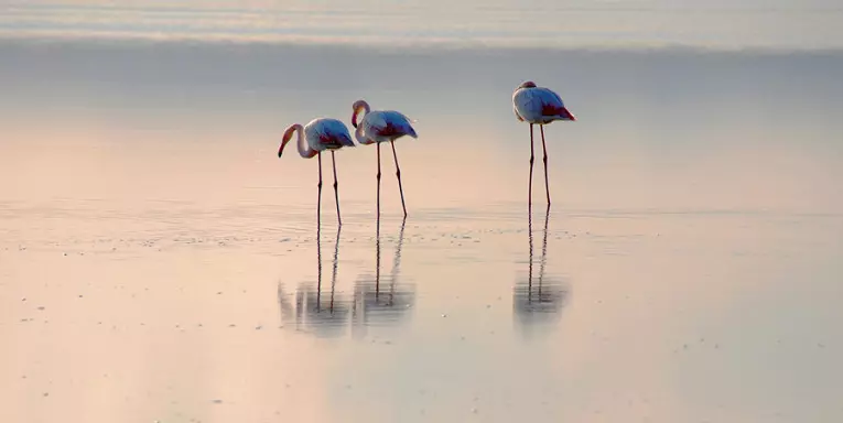 Larnaca, Sipra, Eoropa