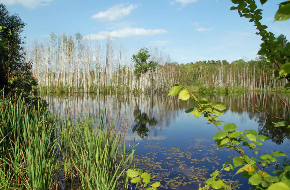 Voronezh, Voronezh Seaphast, Rusia, Éropa