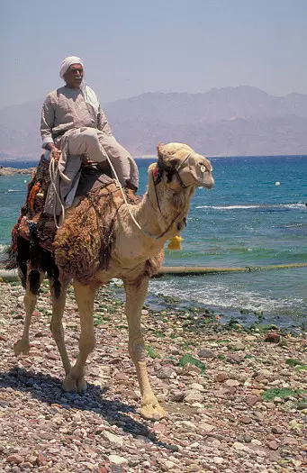 Eilat, Israel, Medio Oriente