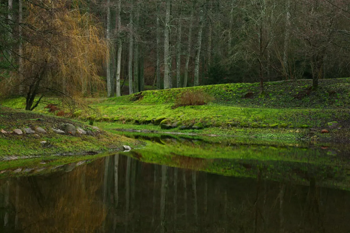 Palanga, Litva, Europa