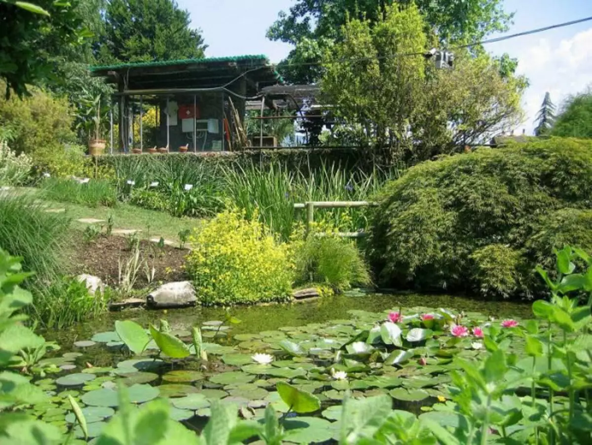 Taman Botani Dinamakan Selepas Lorenzo Rota, Bergamo, Itali, Eropah