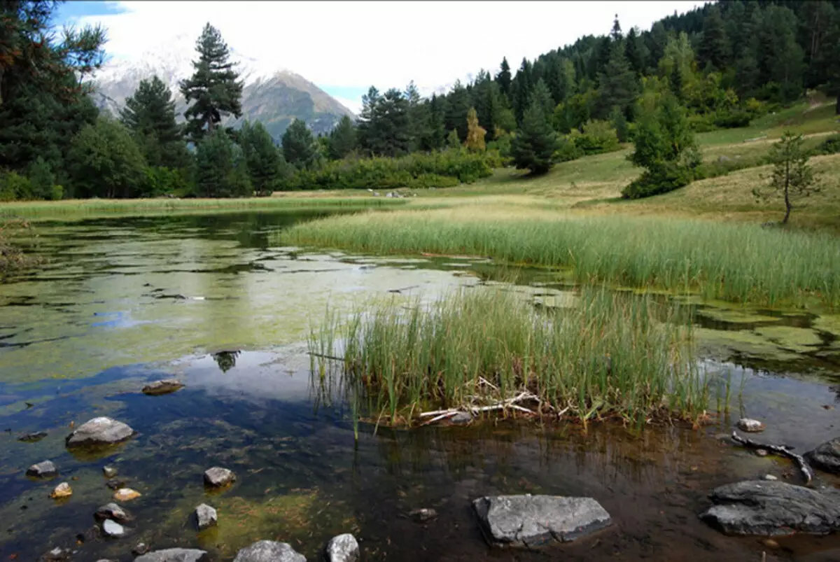 Kutaisi, Georgia, Yurub