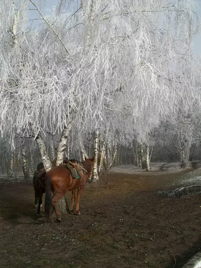 ロシアの冬