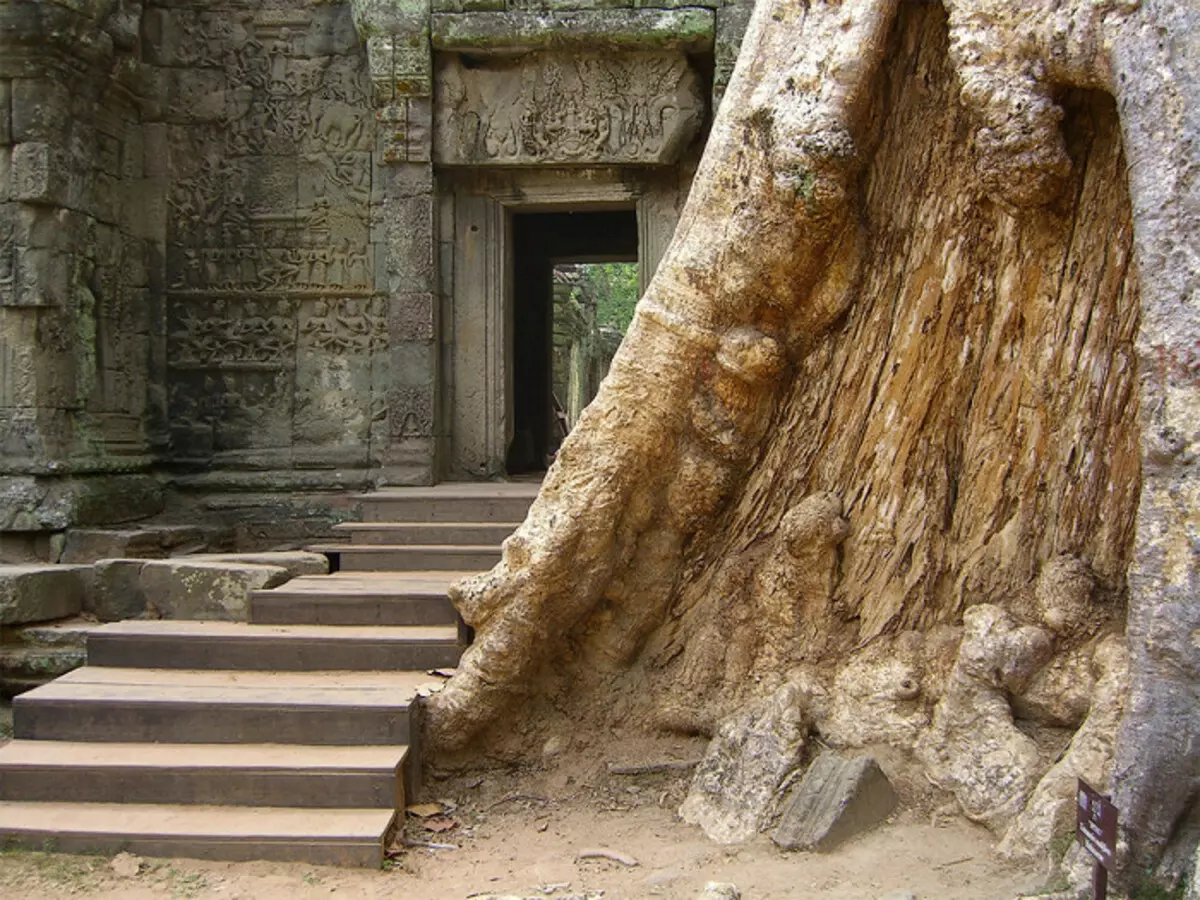 Siemreap, Cambodia, Asien