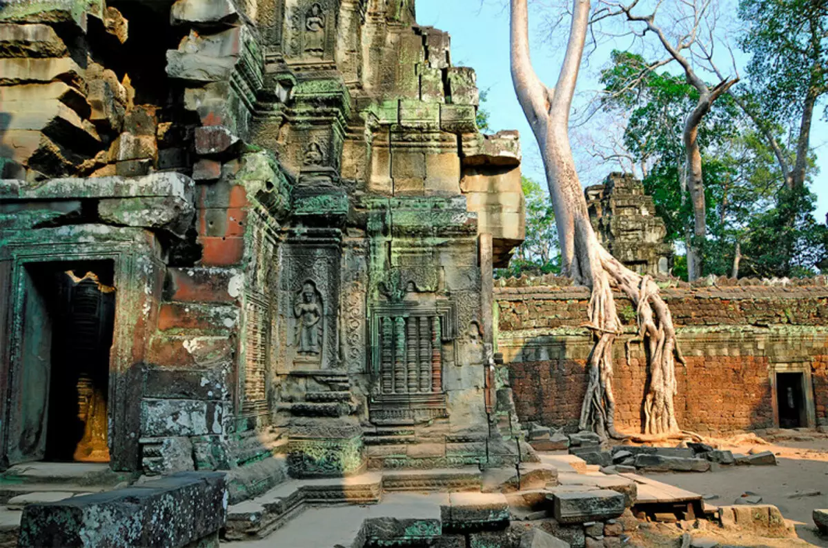 Siemreap, Cambodia, Asia