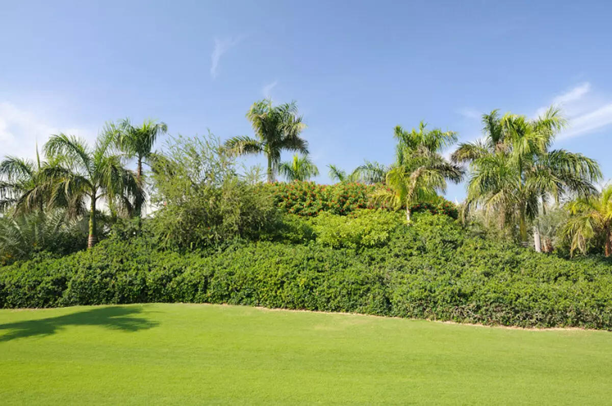 Jardins Ain Al-Madhab, Fujairah, Emirados Árabes Unidos, Oriente Médio