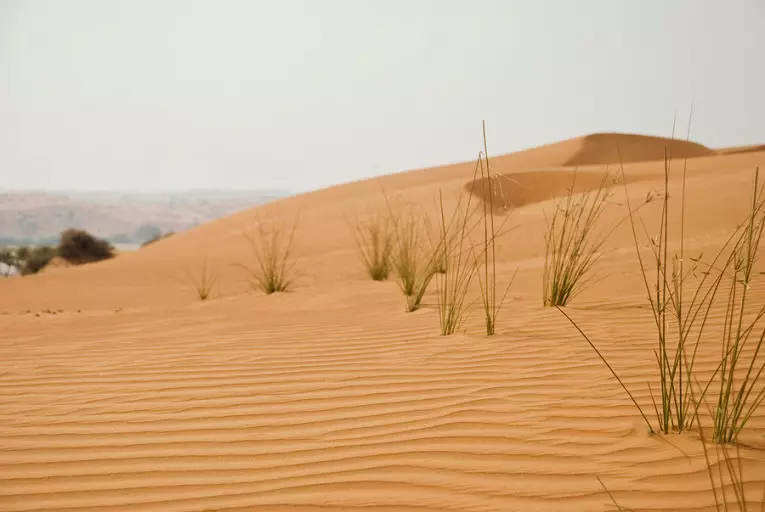 Fujairah, EAU, Orientul Mijlociu