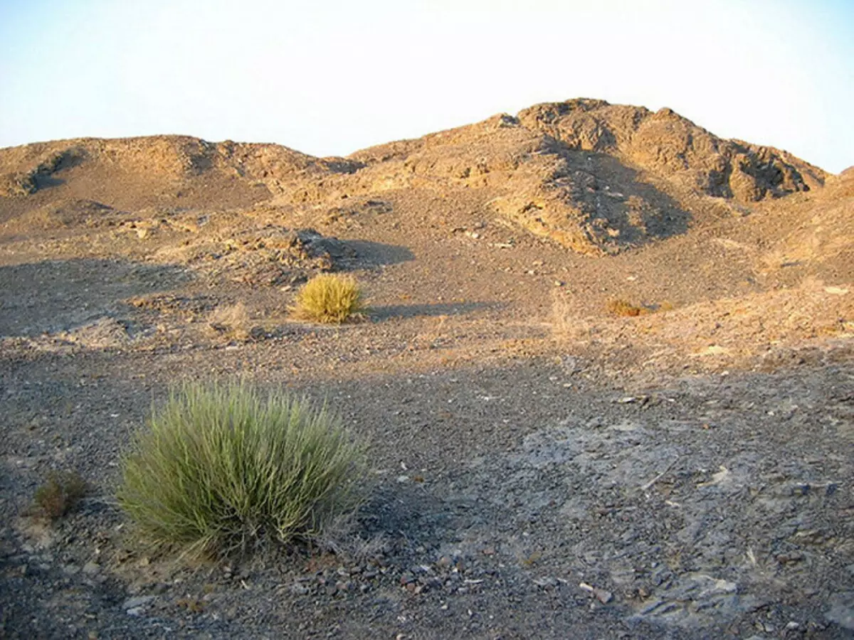 Fujairah, EAU, Orientul Mijlociu