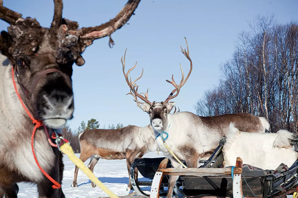 Santa Claus Village, Rovaniemi, Finnland, Evrópa