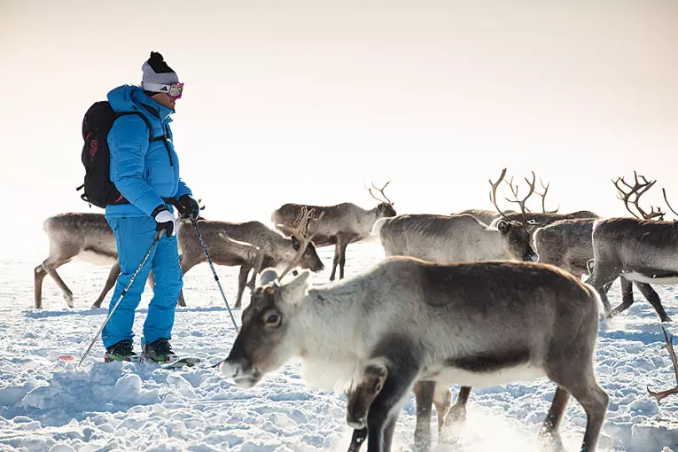 Lepo Rovaniemellä: Rovaniemen opas - Travel 232730_2