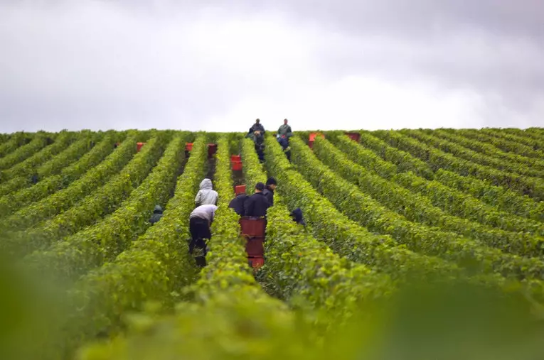 Reims, শ্যাম্পেন Ardennes, ফ্রান্স, ইউরোপ