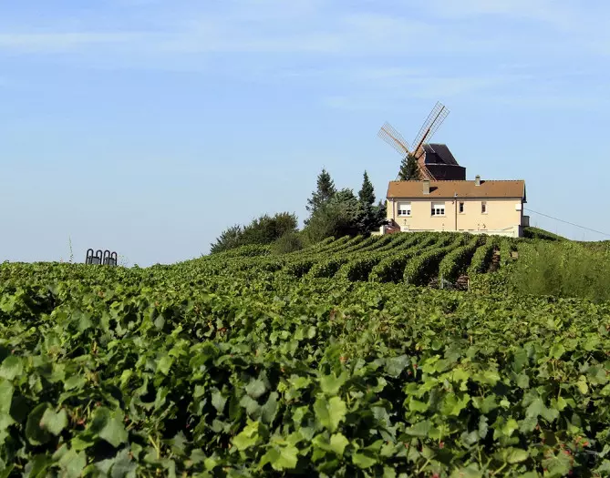 Reims, শ্যাম্পেন Ardennes, ফ্রান্স, ইউরোপ