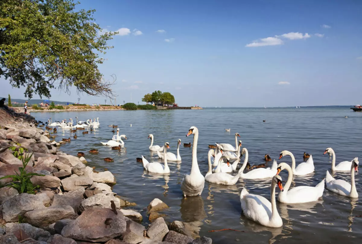 Balaton, Hungary, Eropah