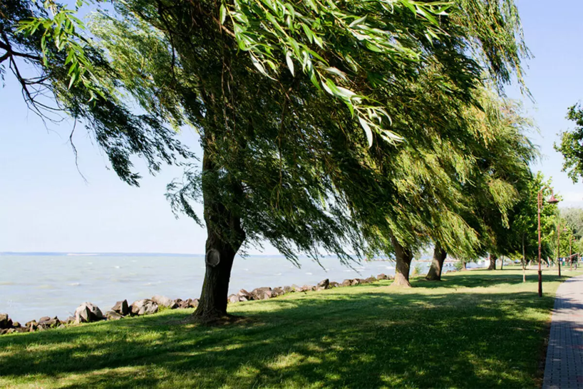 Balaton, Hongiriya, Uburayi