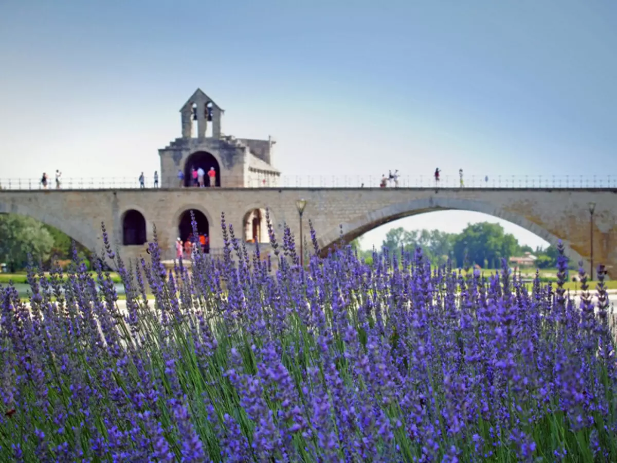 SaintBeen Bridge, Avignon, Provence, Frankreich, Europa