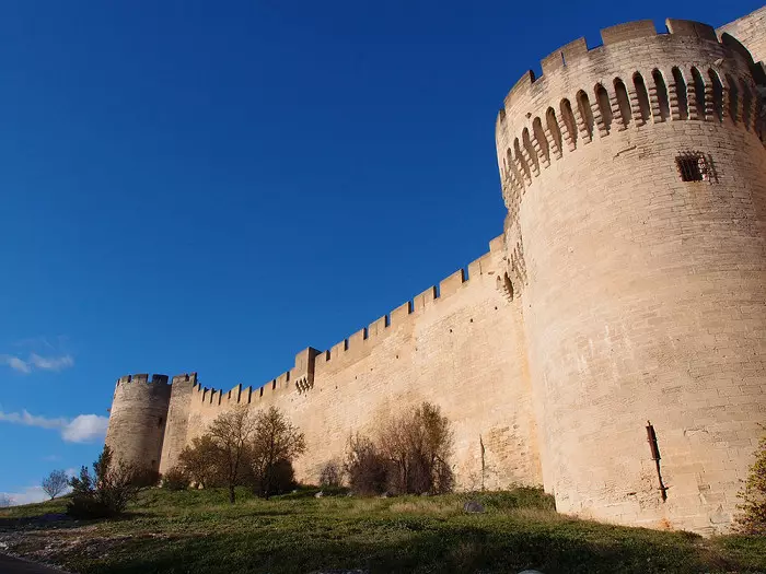 Fort Shen-Andre, Avignon, Provence, Frankreich, Europa