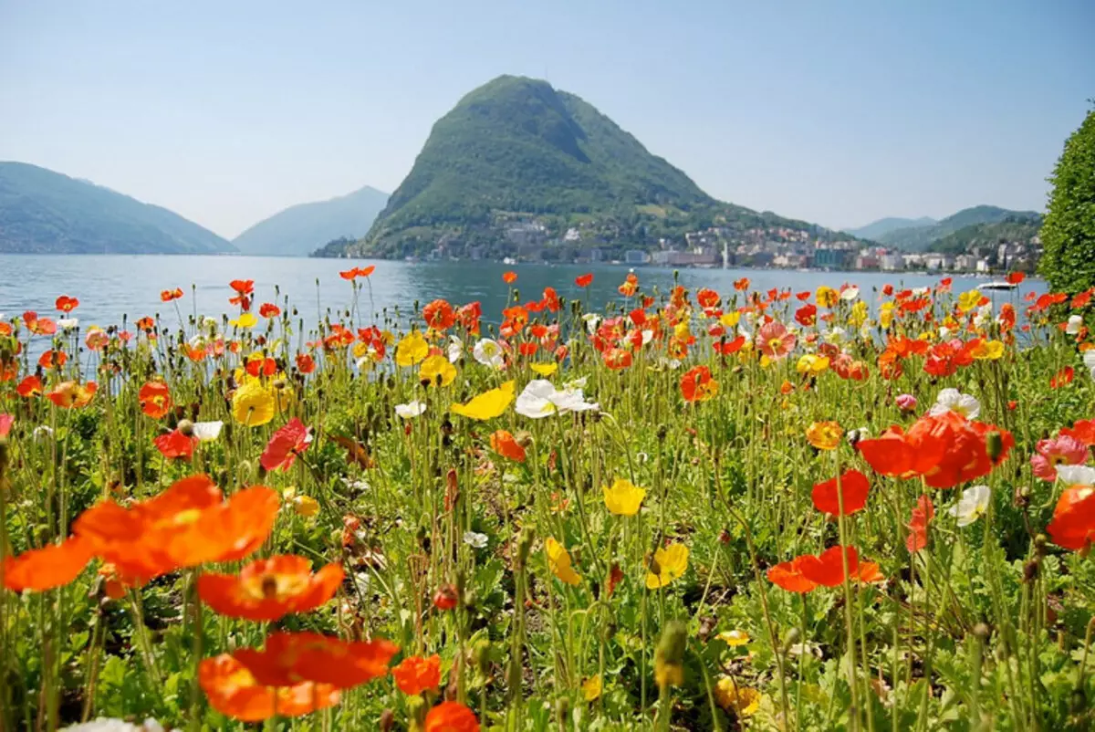 Kuruhukira muri Lugano: Lugano ayobora - ingendo