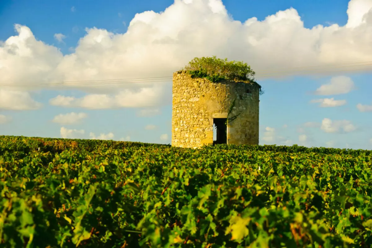 Bordeaux, Aquitaine, Frankryk, Europa