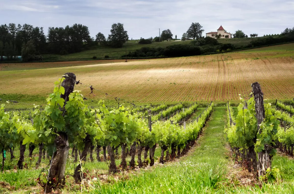 Bordeaux, Aquitaine, Frankrijk, Europa