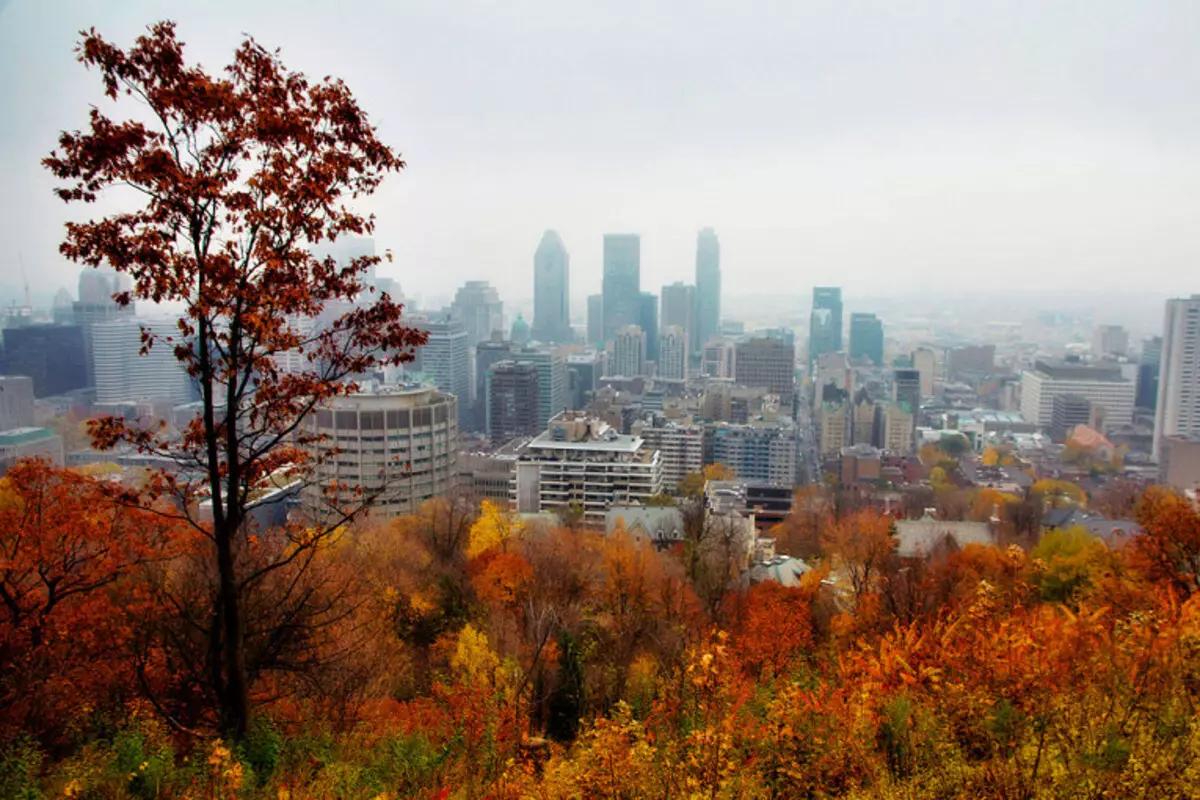 Odpoczynek w Montreal: Przewodnik Montreal - podróż 232765_3