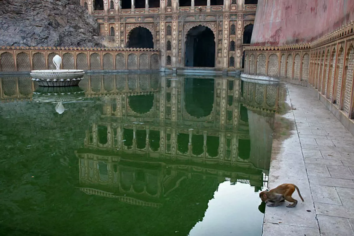 Jaipur, India, Azia