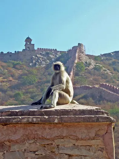 Jaipur, peyi Zend, Azi