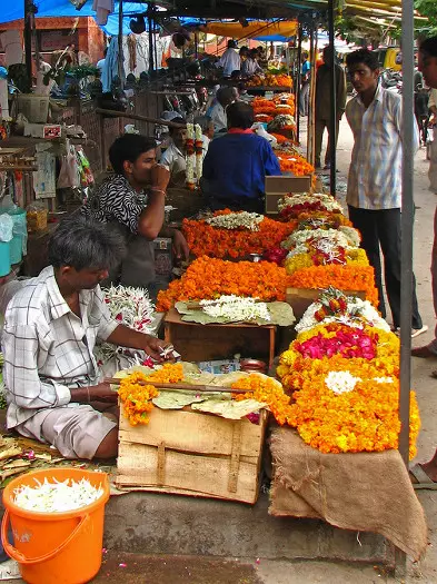 Jaipur, India, Aasia